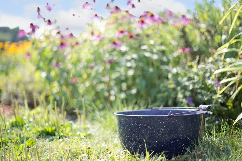 Metal pot in a blooming garden free image download