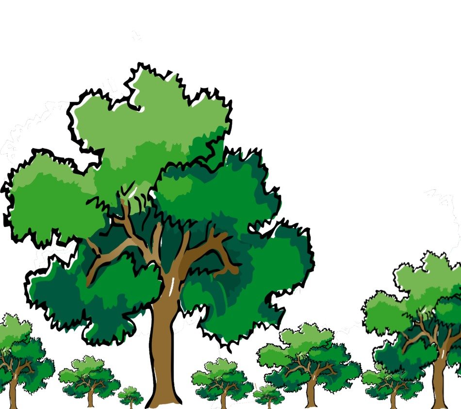 Oak trees, illustration free image download