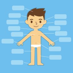 Body part poster for kids free image download