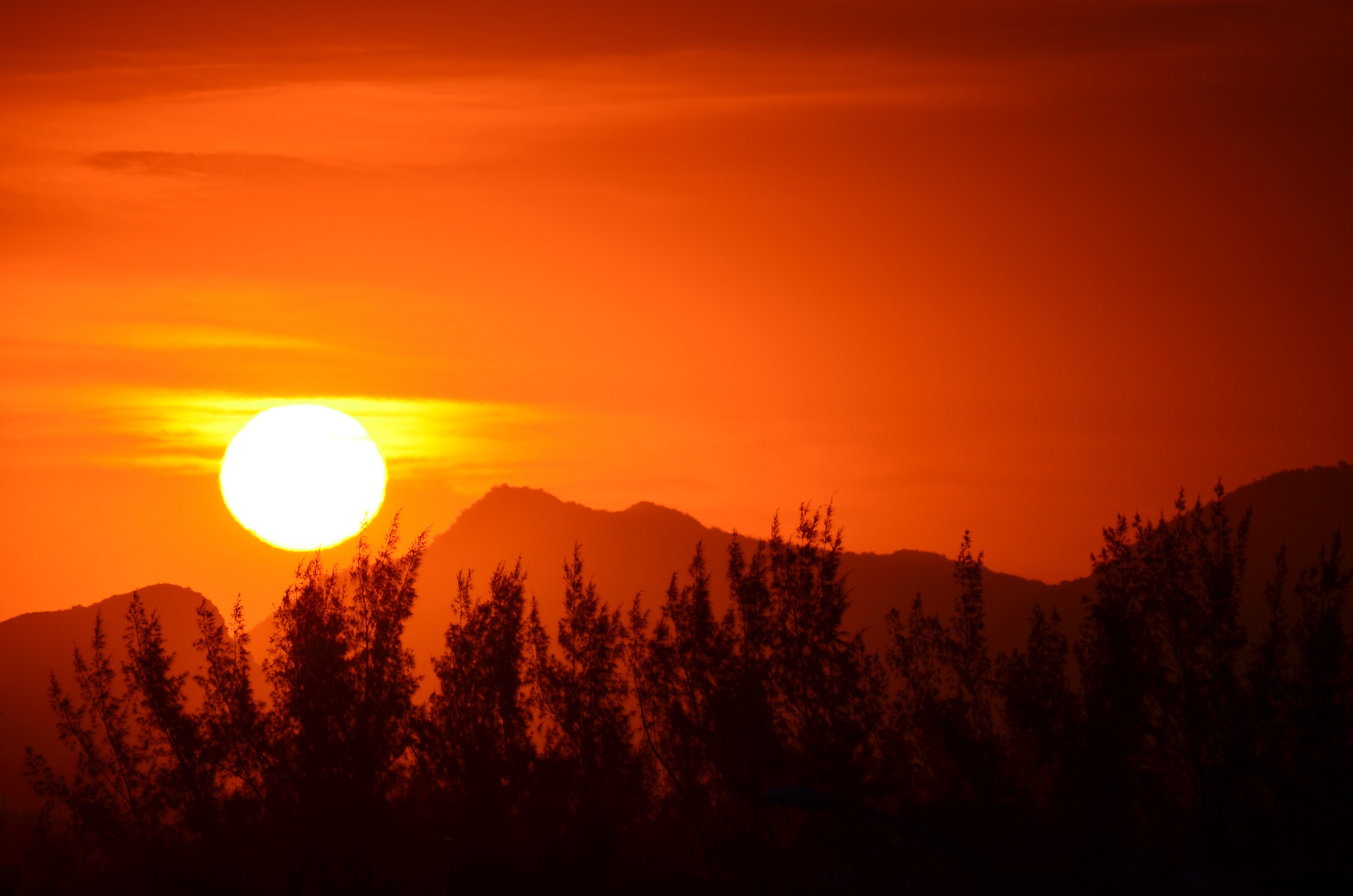 Summer sunset in warm colors free image download
