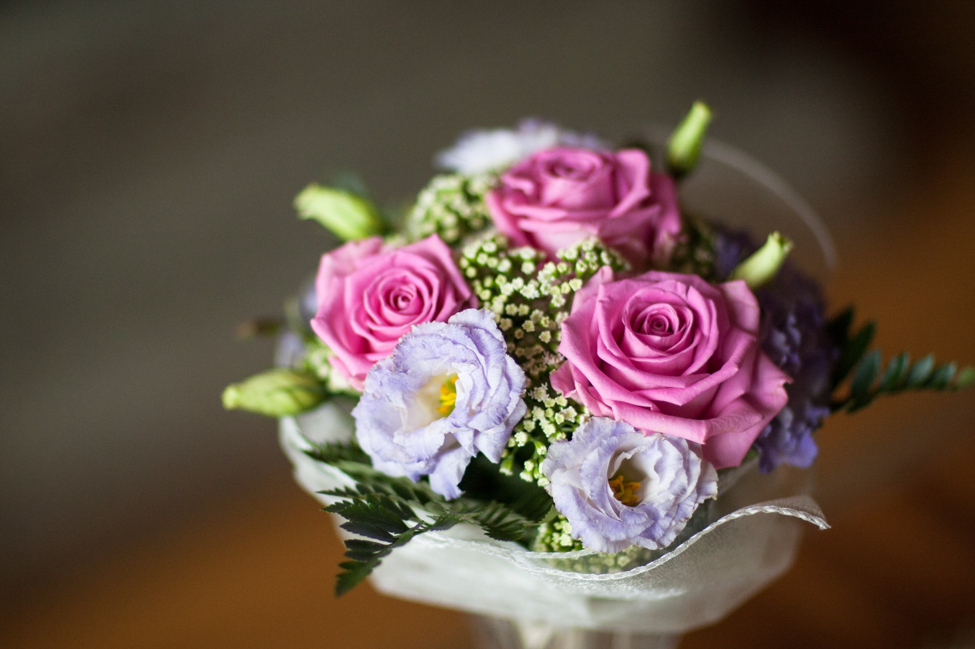 Bouquet of delicate roses free image download