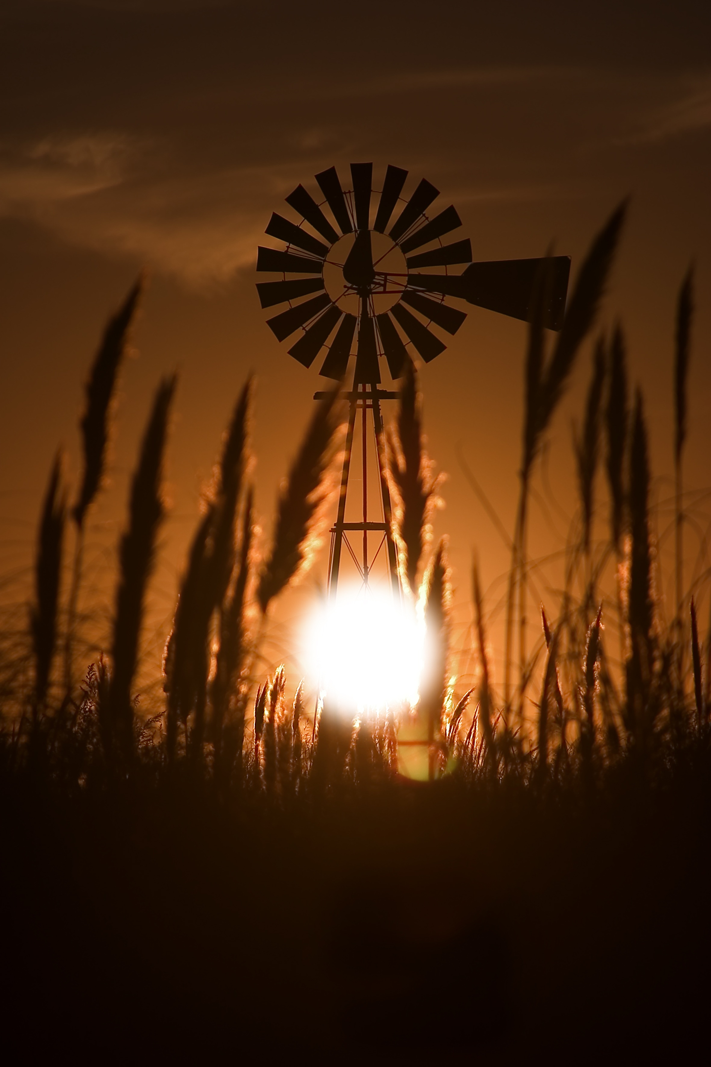 Water mill at sunset free image download