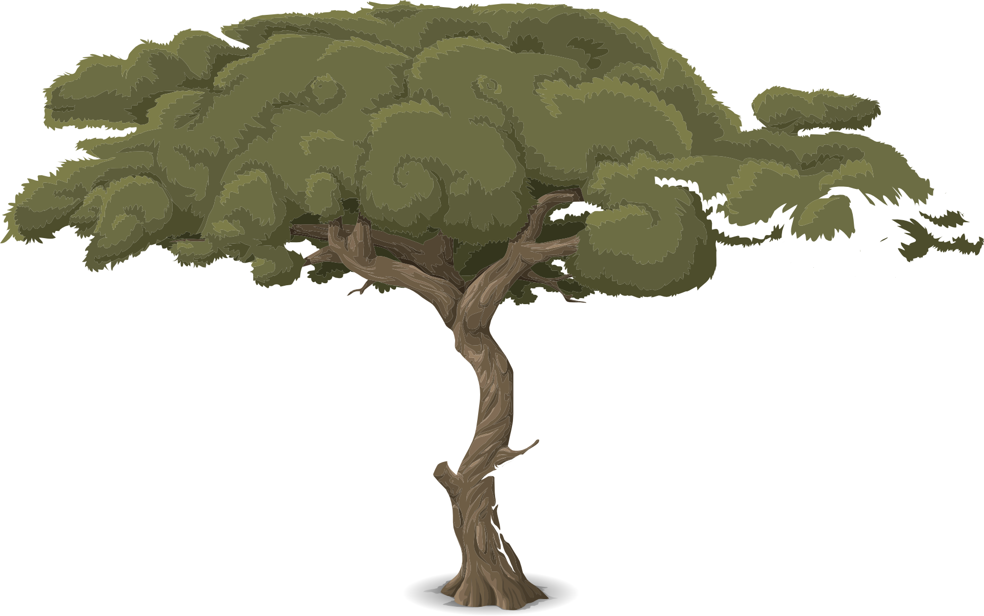 Tree trunk nature drawing free image download