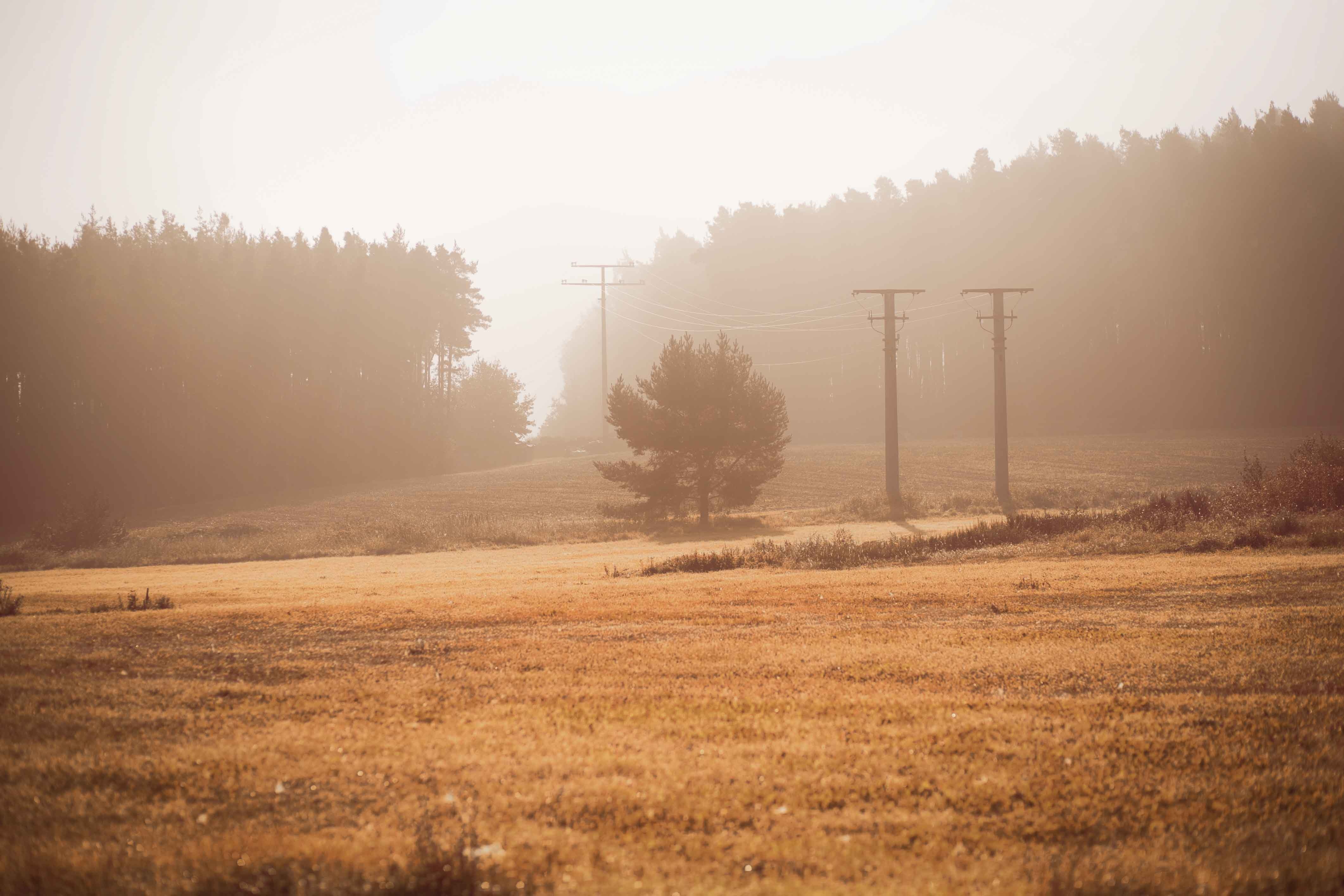 Orange autumn landscape in germany free image download