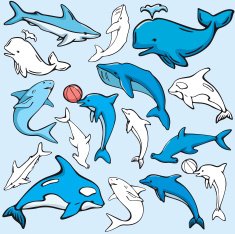 Sea World VIII Sharks Dolphins Whales ( Vector) free image download