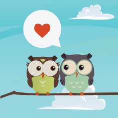 Owl N28 free image download