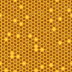 Seamless Honeycomb Texture free image download