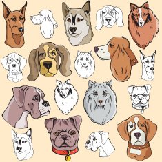 Pet Illustrations XVI Dog Heads (Vector) free image download