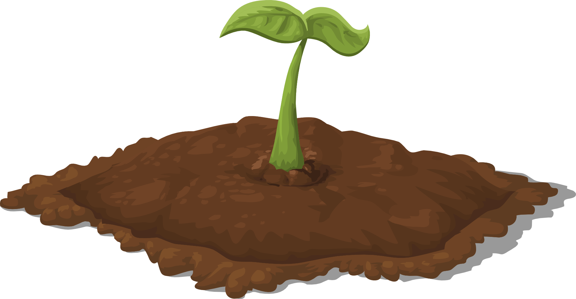 Plants Tiny sprout clipart free image download