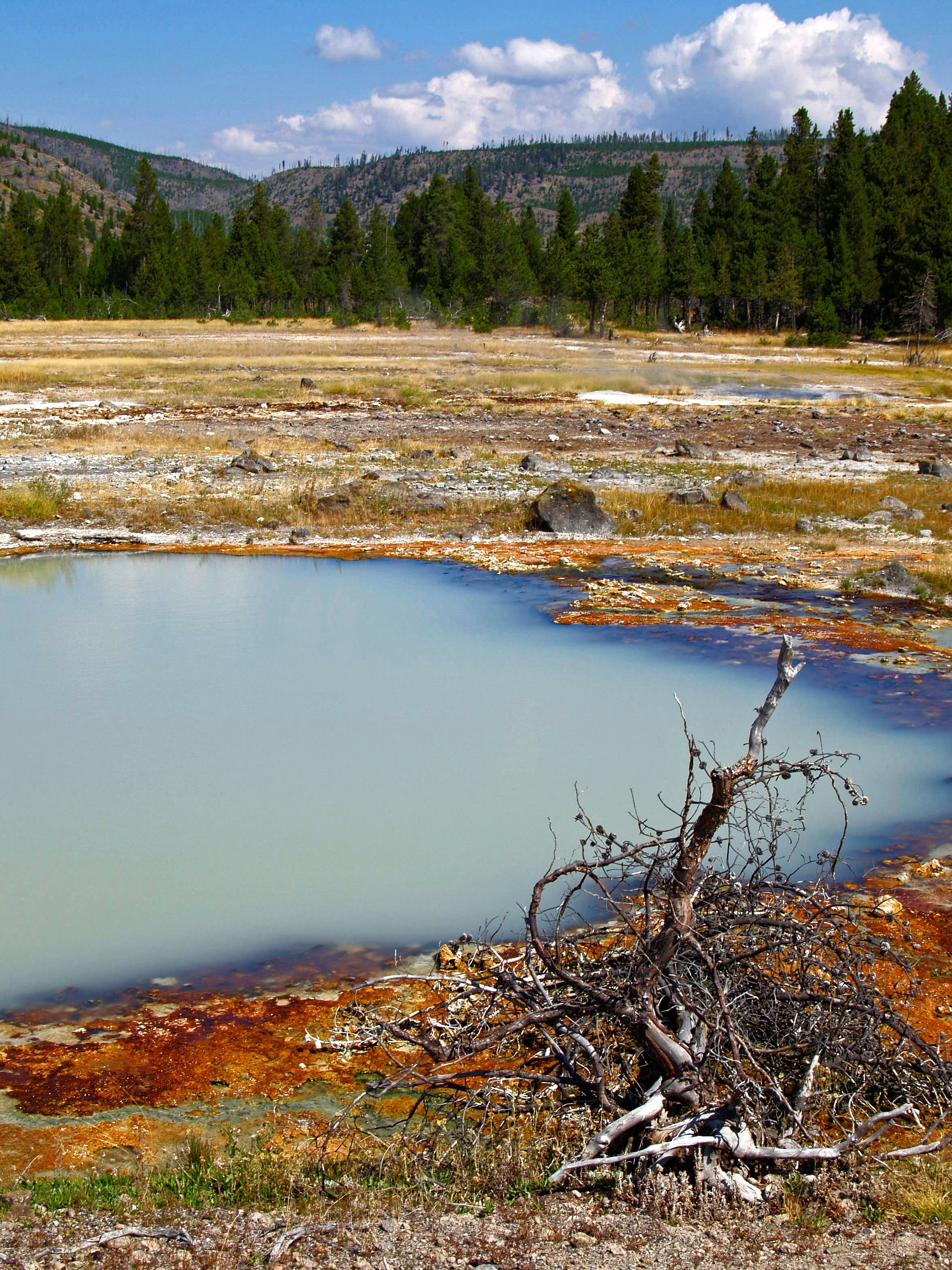 Pond in Yellowstone National Park free image download