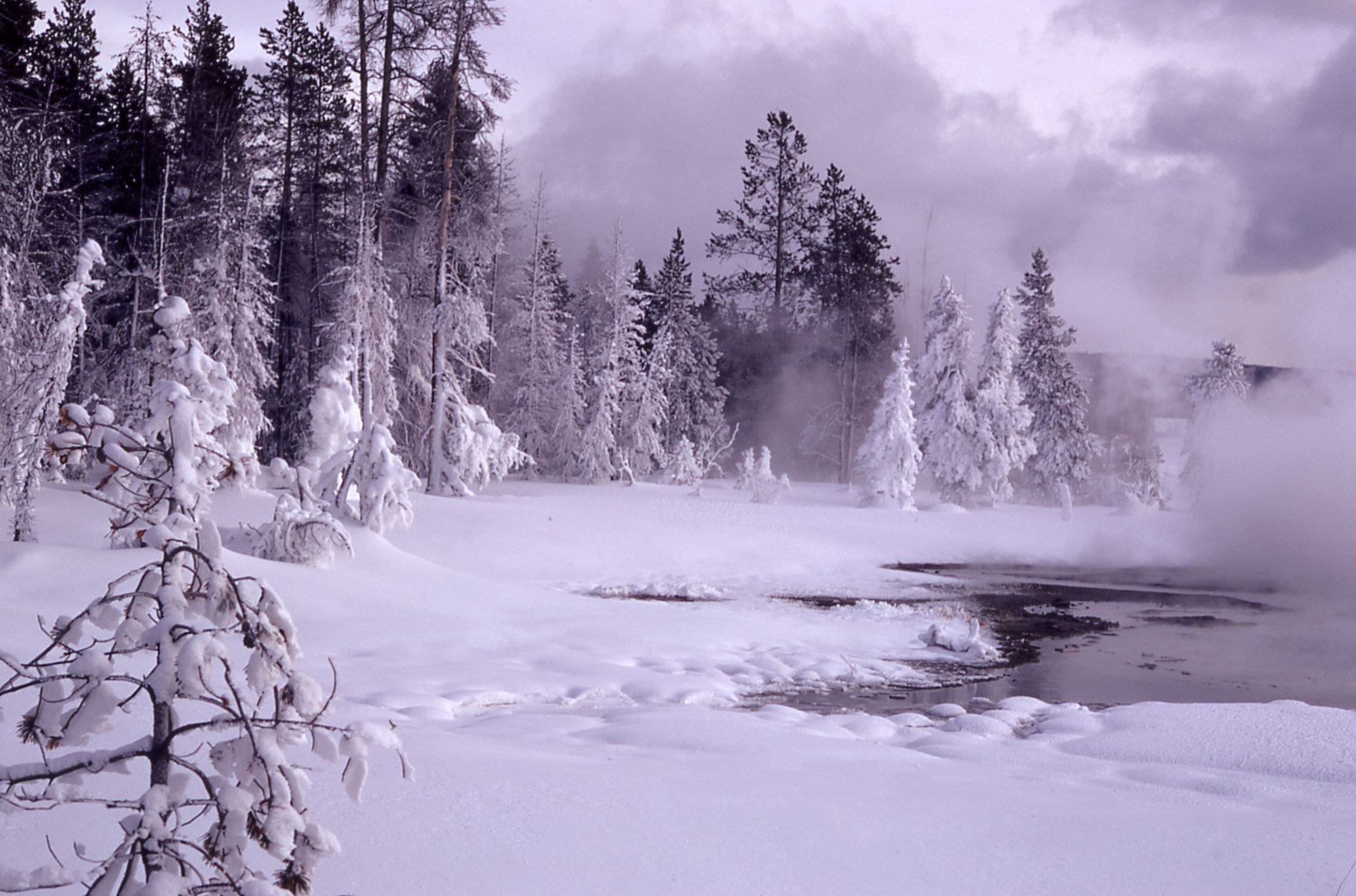 Winter cold landscapeс free image download