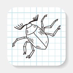 Insect doodle free image download