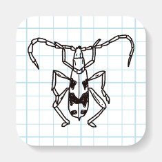 Insect doodle N4 free image download