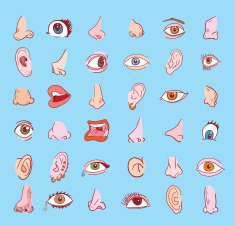 Mouths collection in different expressions vector icon illustration N2 ...