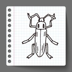 Insect doodle N10 free image download