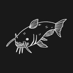 Catfish doodle N4 free image download