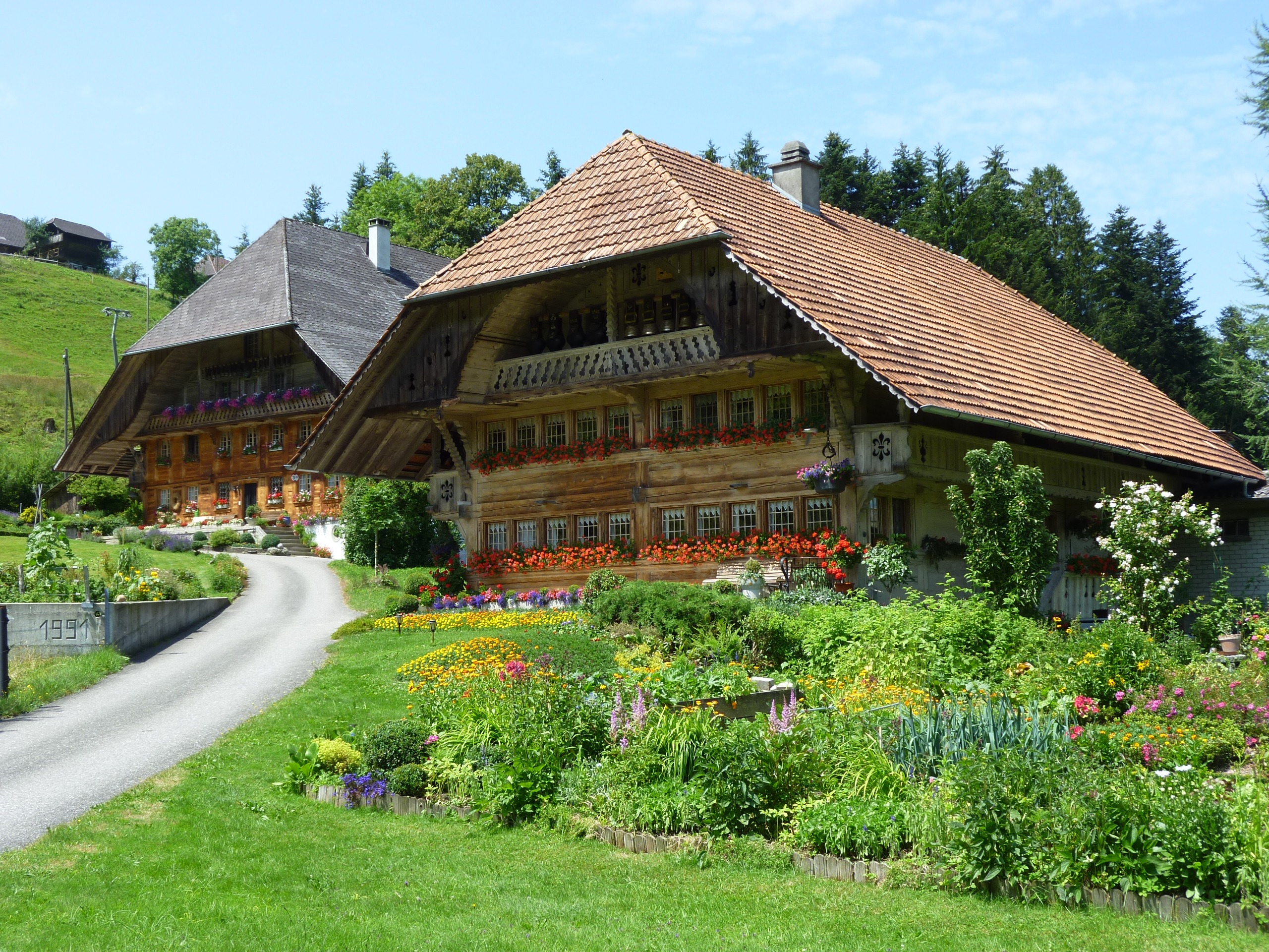 Landscape of resort in a forest in switzerland free image download