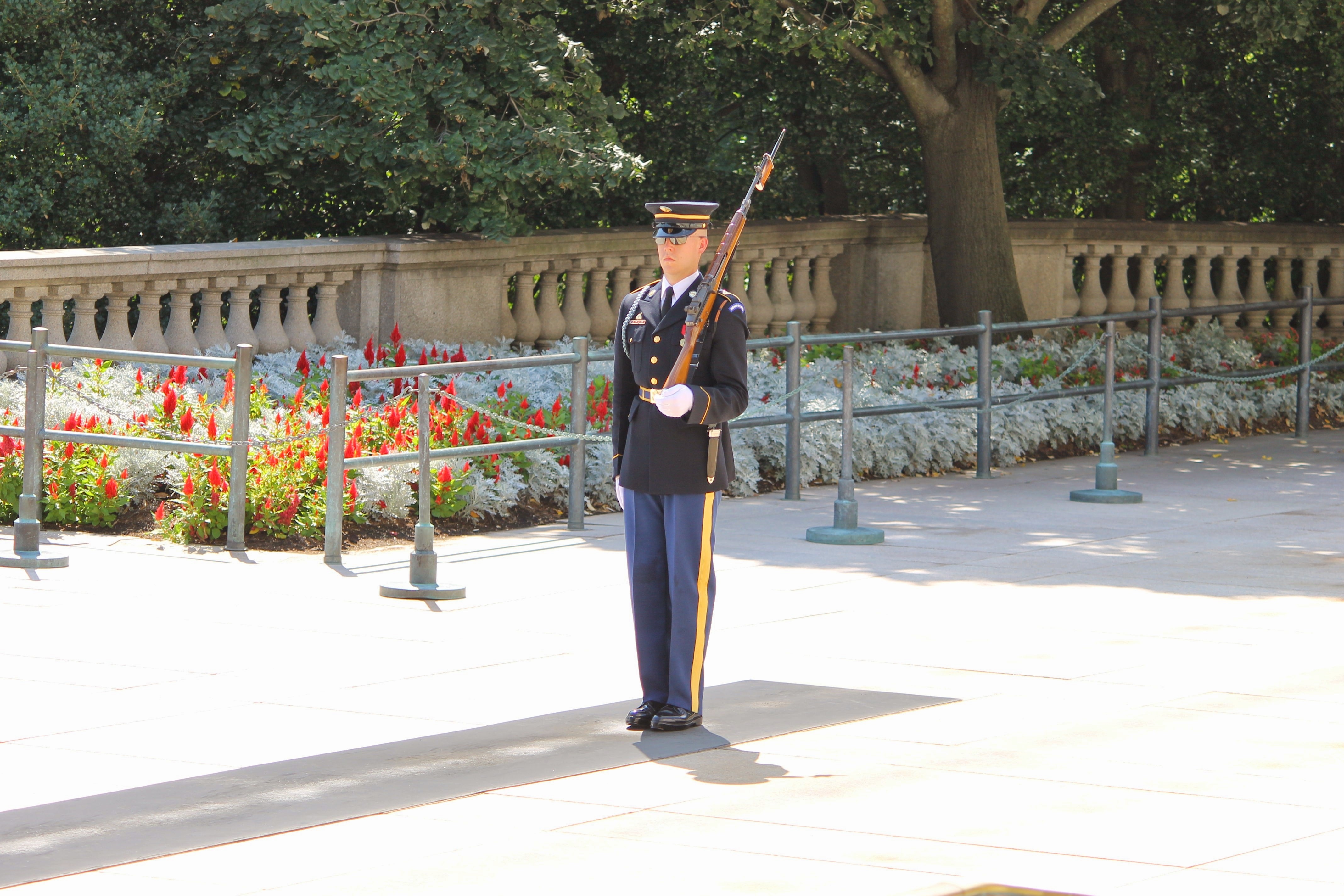 Arlington cemetery, guard change ceremony free image download