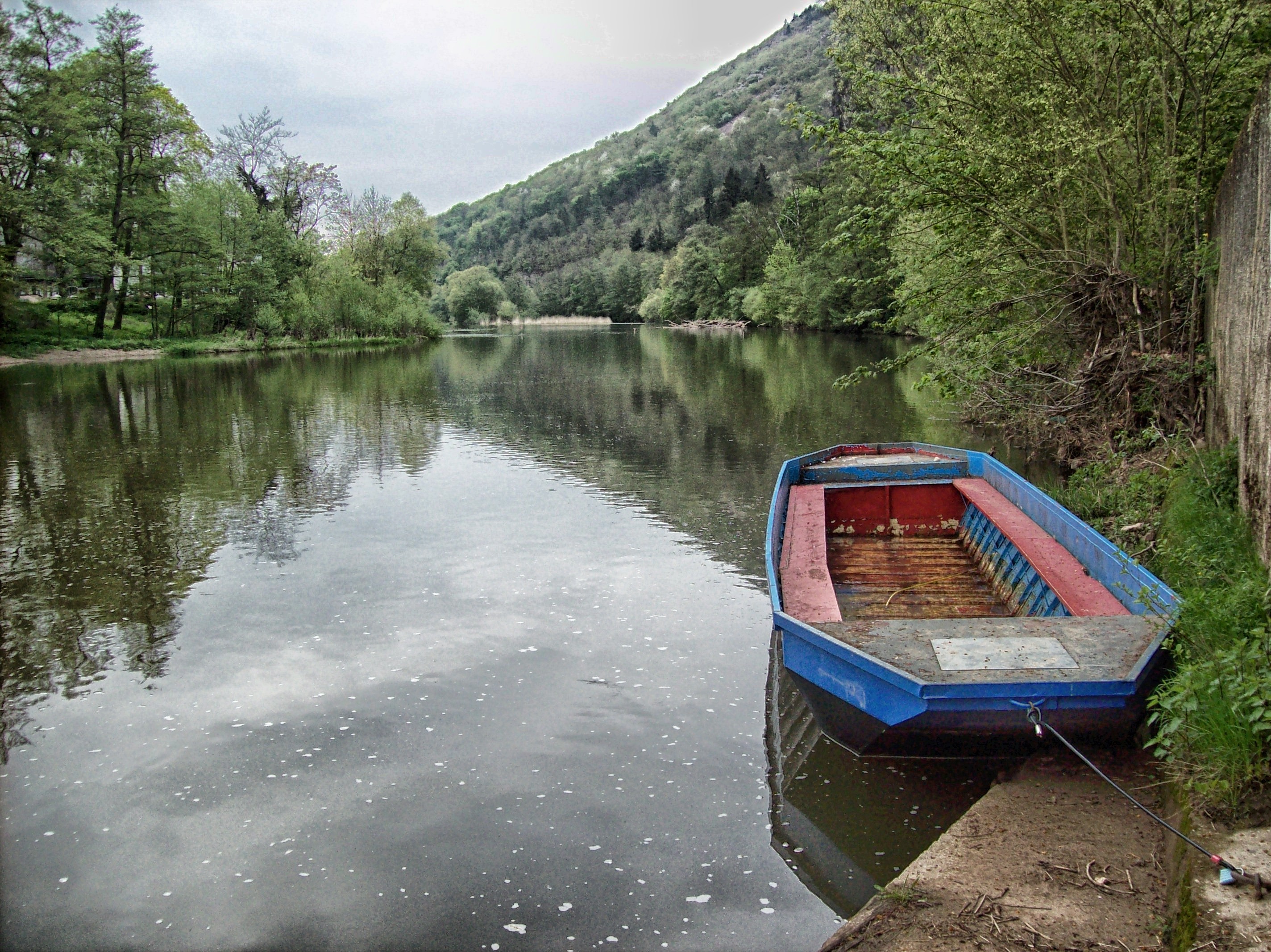 Boat on the river among the forest free image download