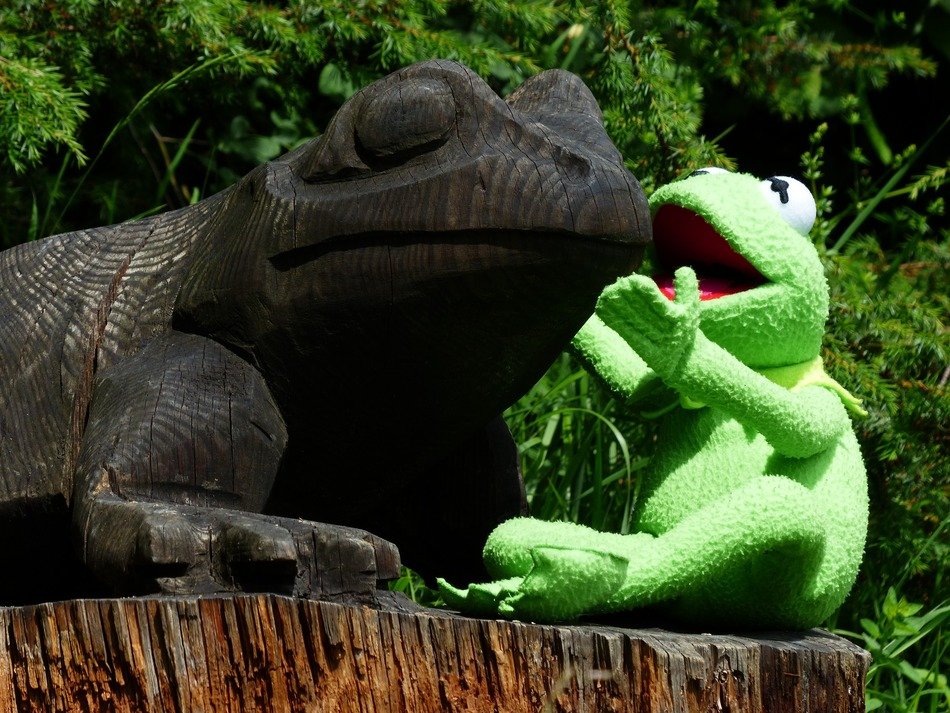 Kermit frog talk with wooden brother free image download