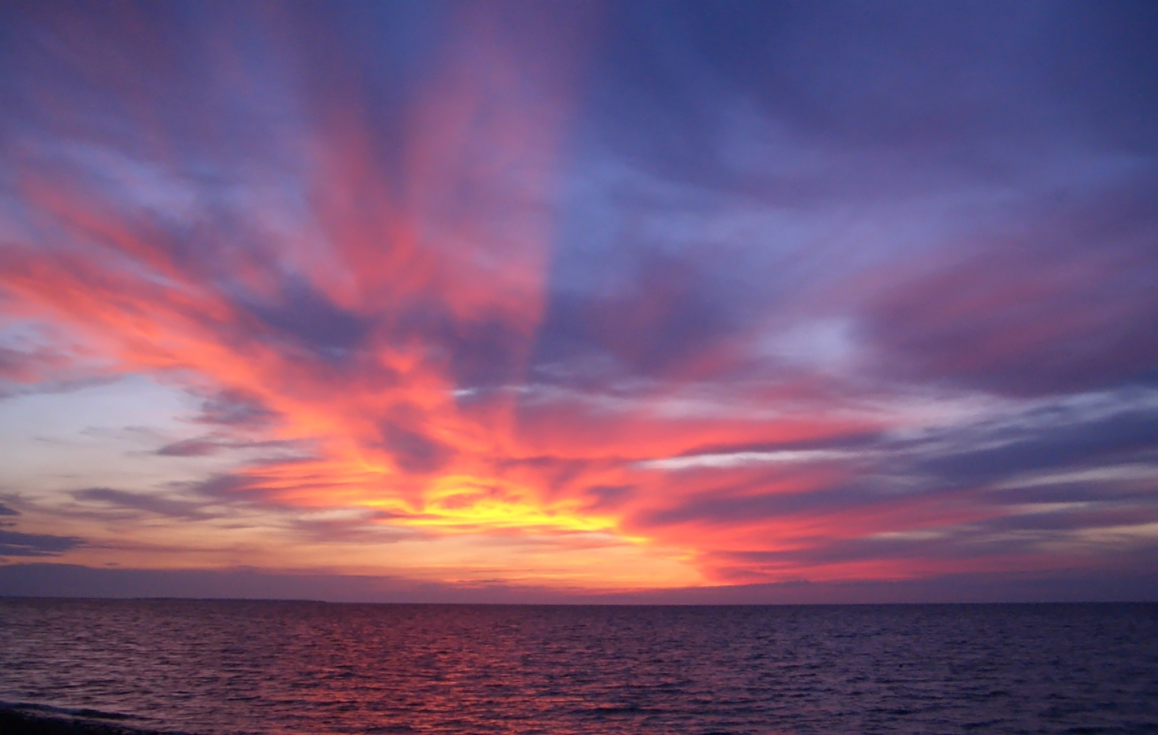 Ocean Sunset Art Collectibles Painting Brainchild