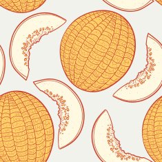 Hand drawn melon with slice seamless pattern free image download