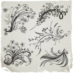 Hand Draw Floral Elements free image download