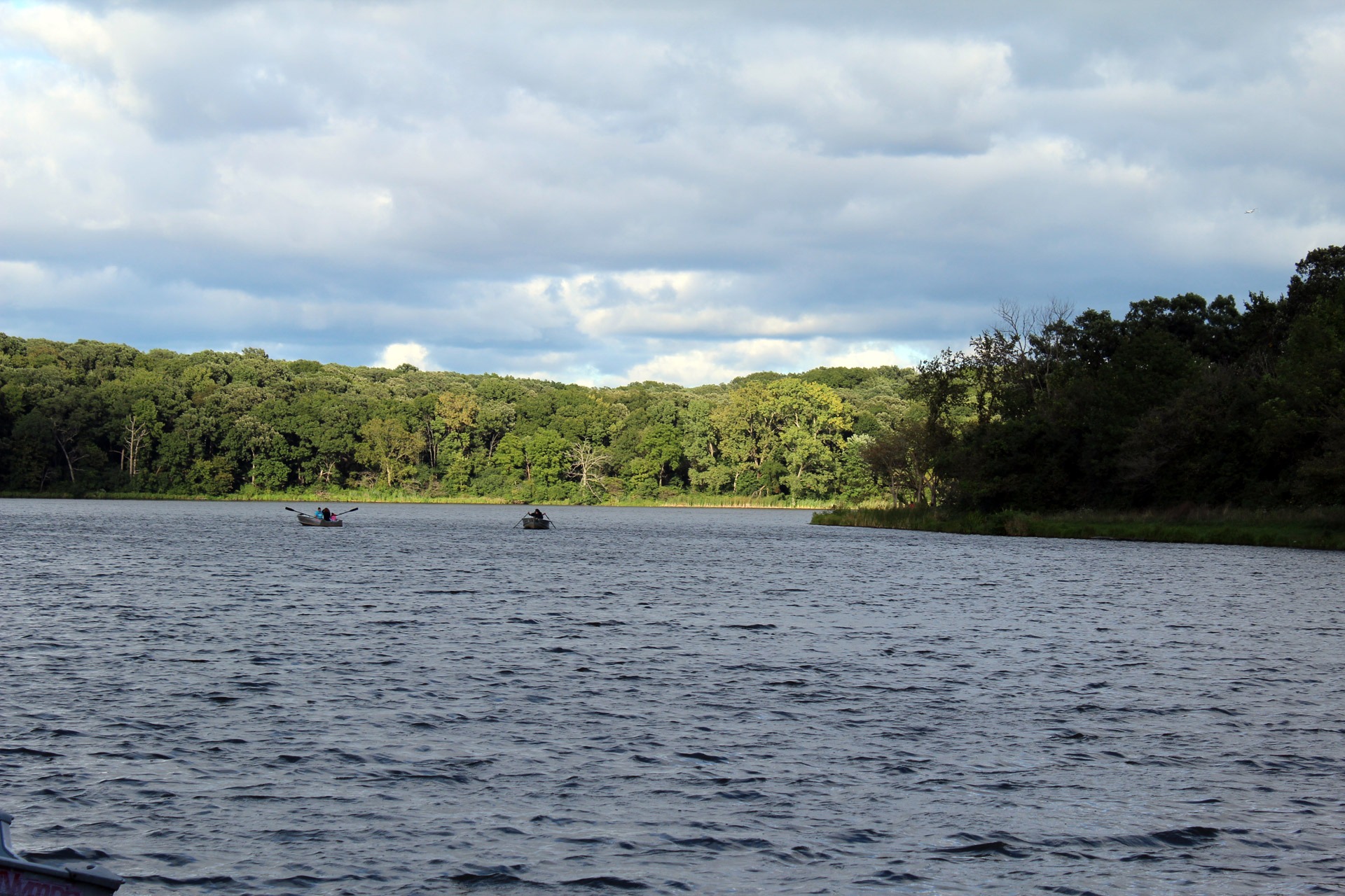 Photo of boats on a forest lake free image download