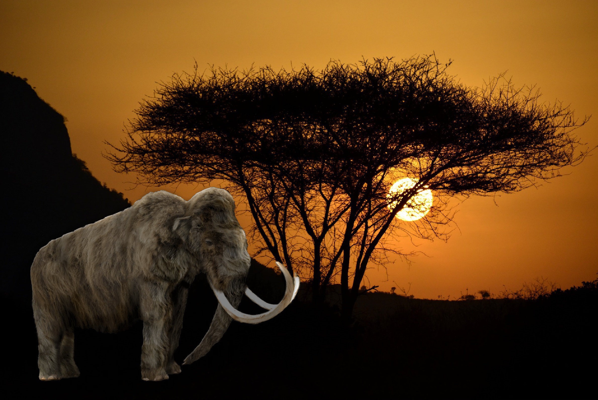 Wooly mammoth elephant in a fantasy plot free image download
