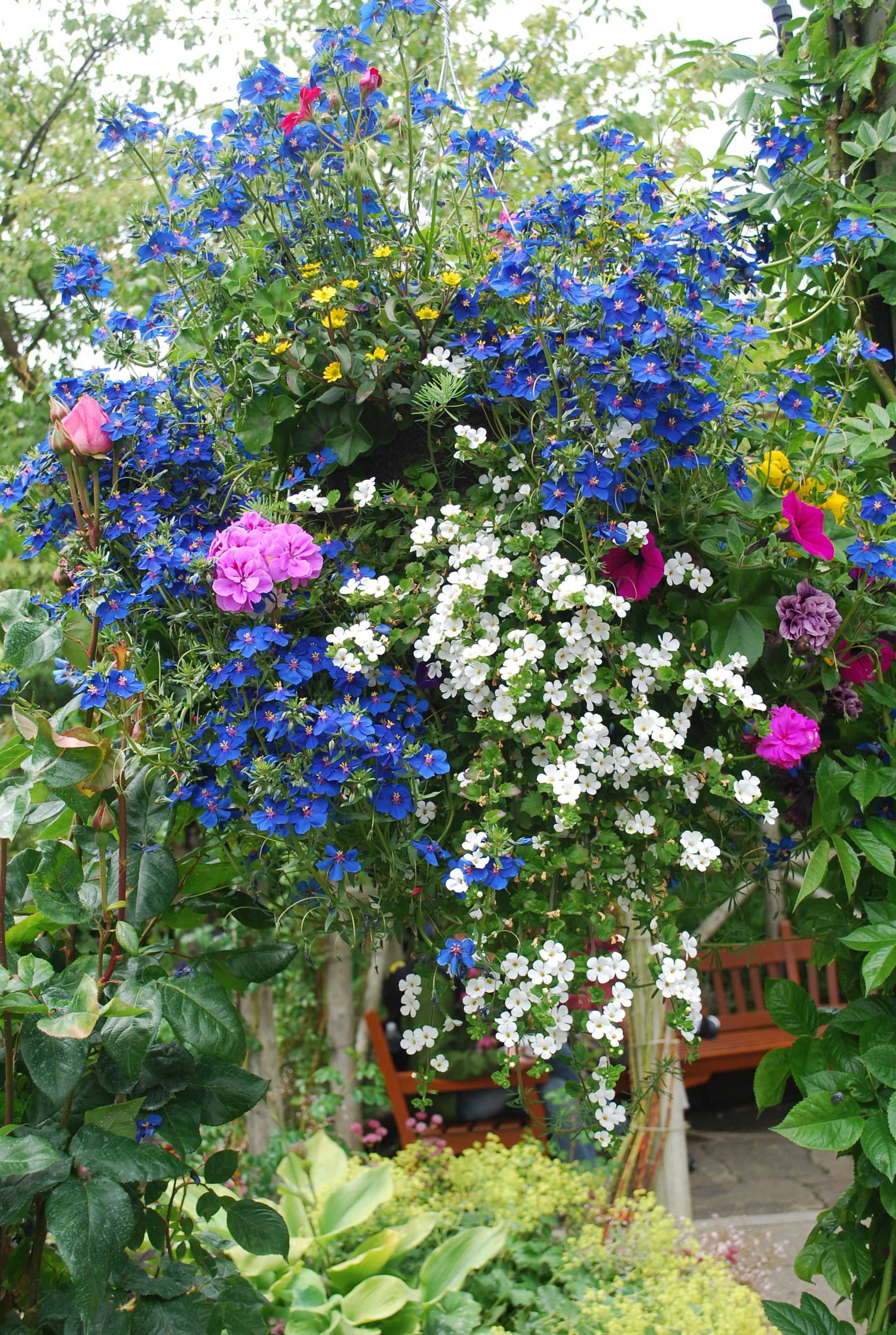 Cascade of flowers free image download
