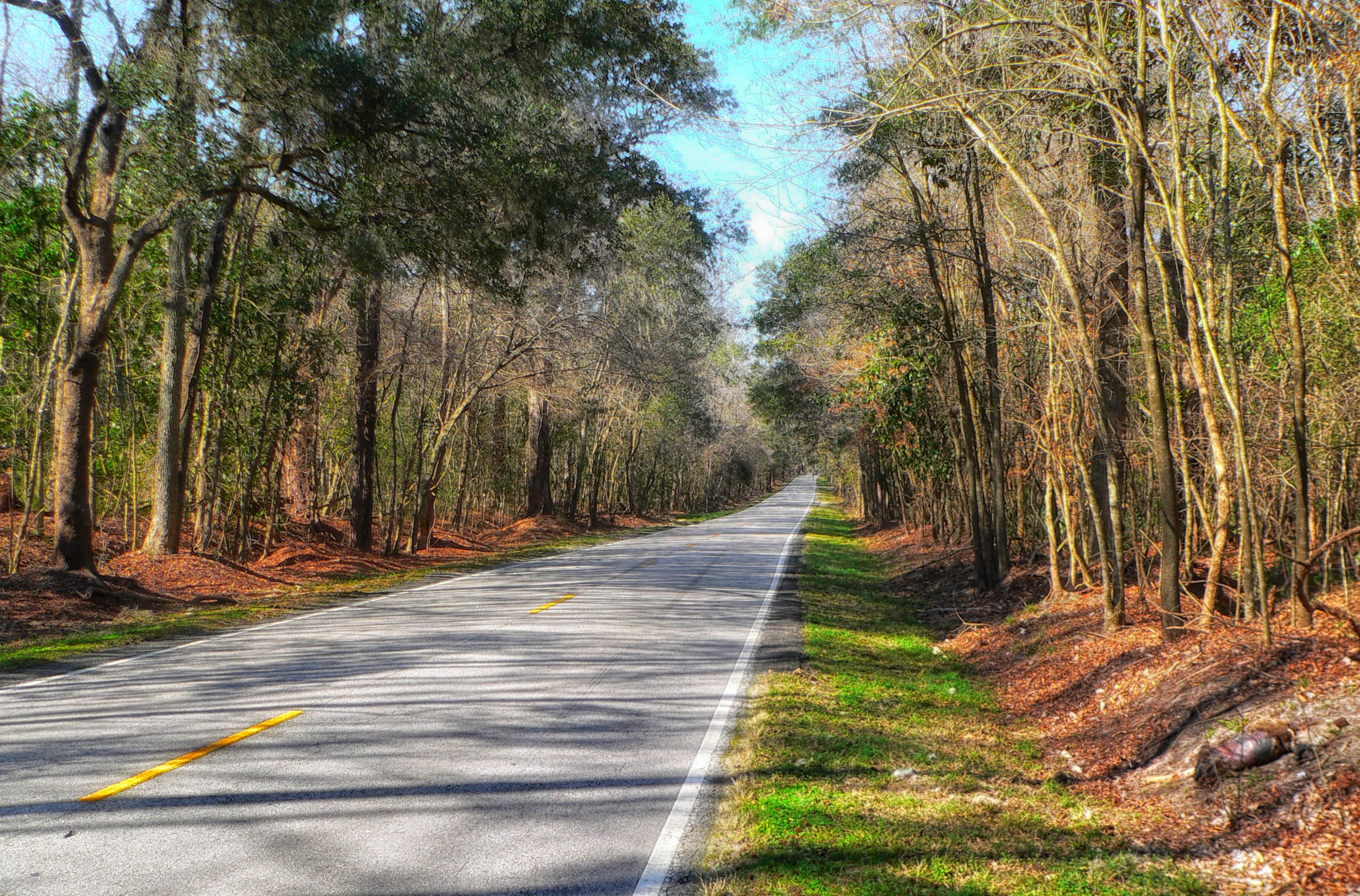 Striking south carolina road free image download