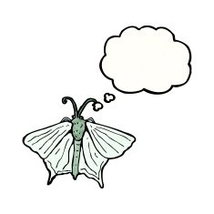 Cartoon Moth N7 free image download