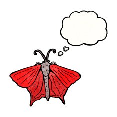 Cartoon Moth N10 free image download