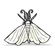 Cartoon Moth N12 free image download