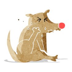 Cartoon Dog Scratching N14 free image download