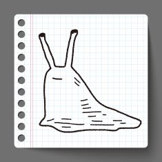 Slug doodle N6 free image download