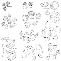 Froots and berries vector set free image download