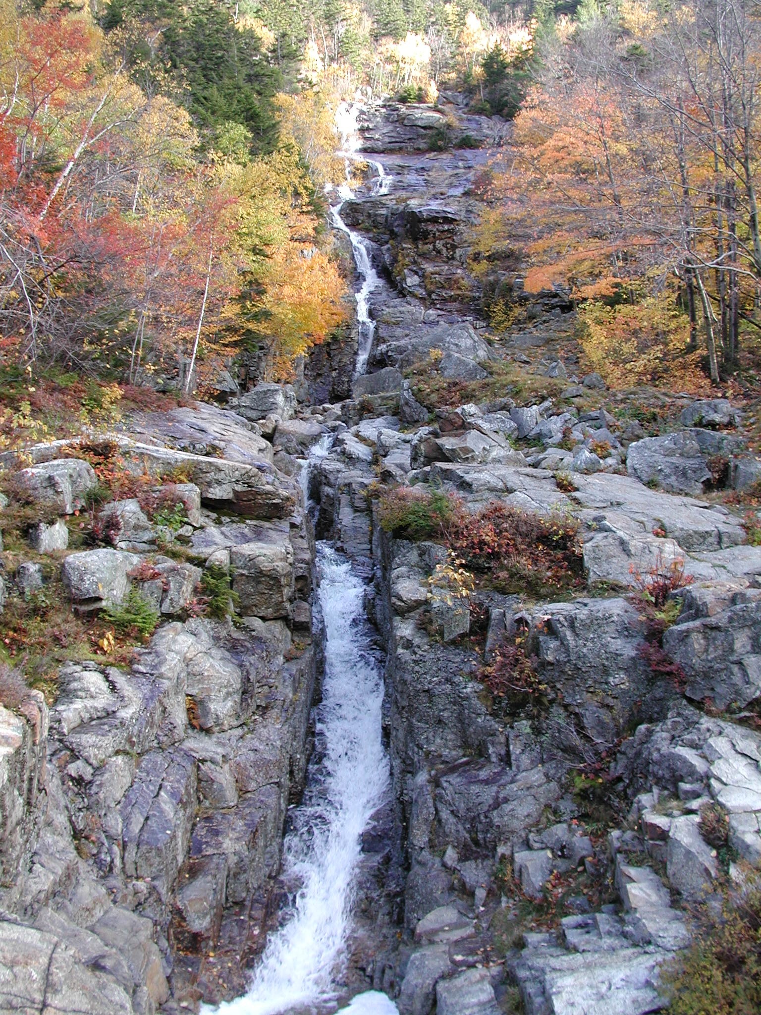 Waterfall among autumn trees free image download