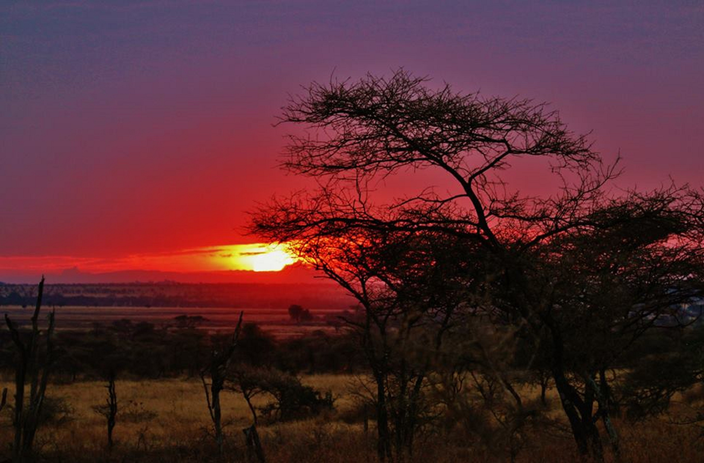 Scenic sunset in tanzania free image download