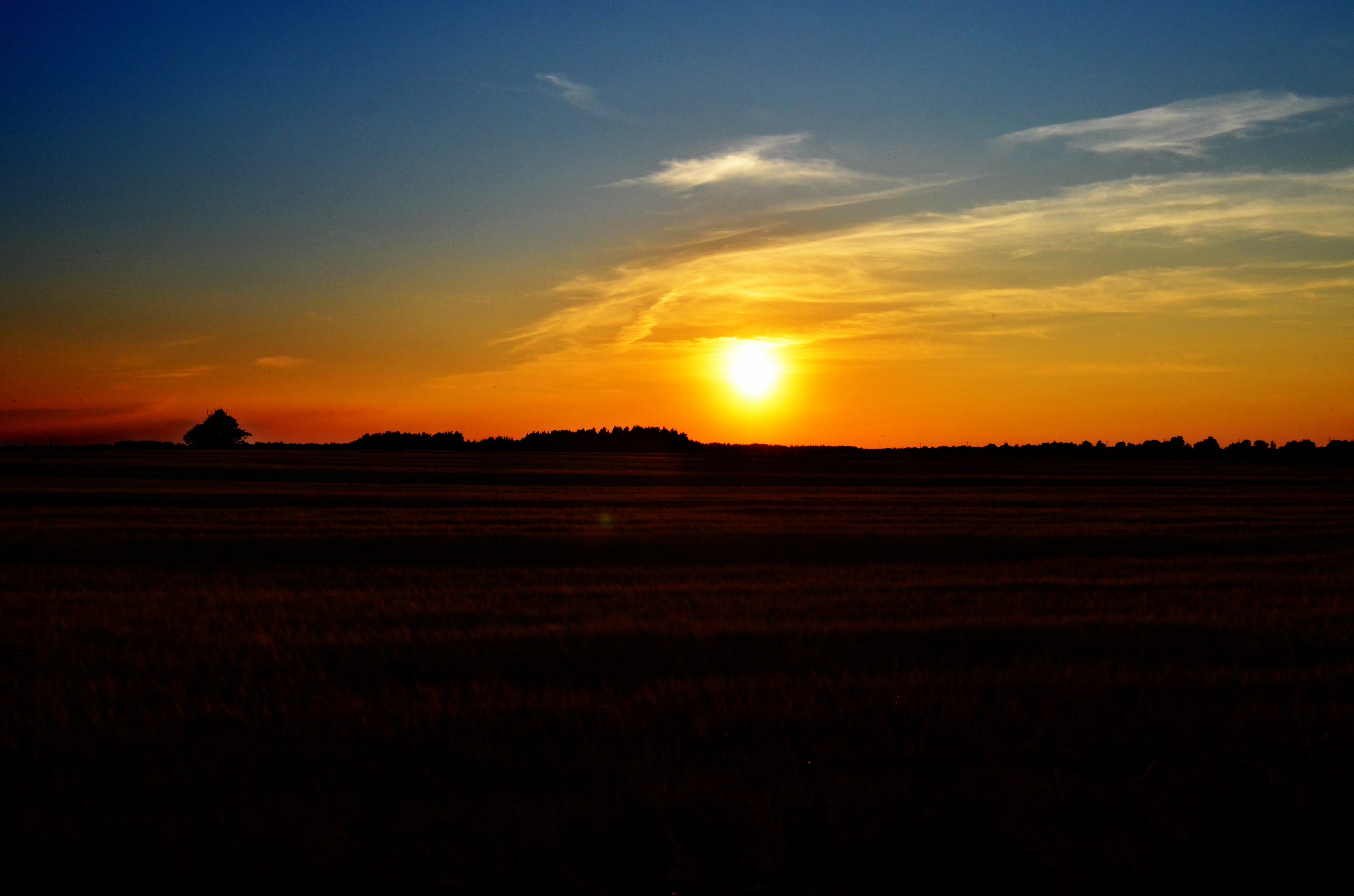 Sunset in the clear evening sky free image download