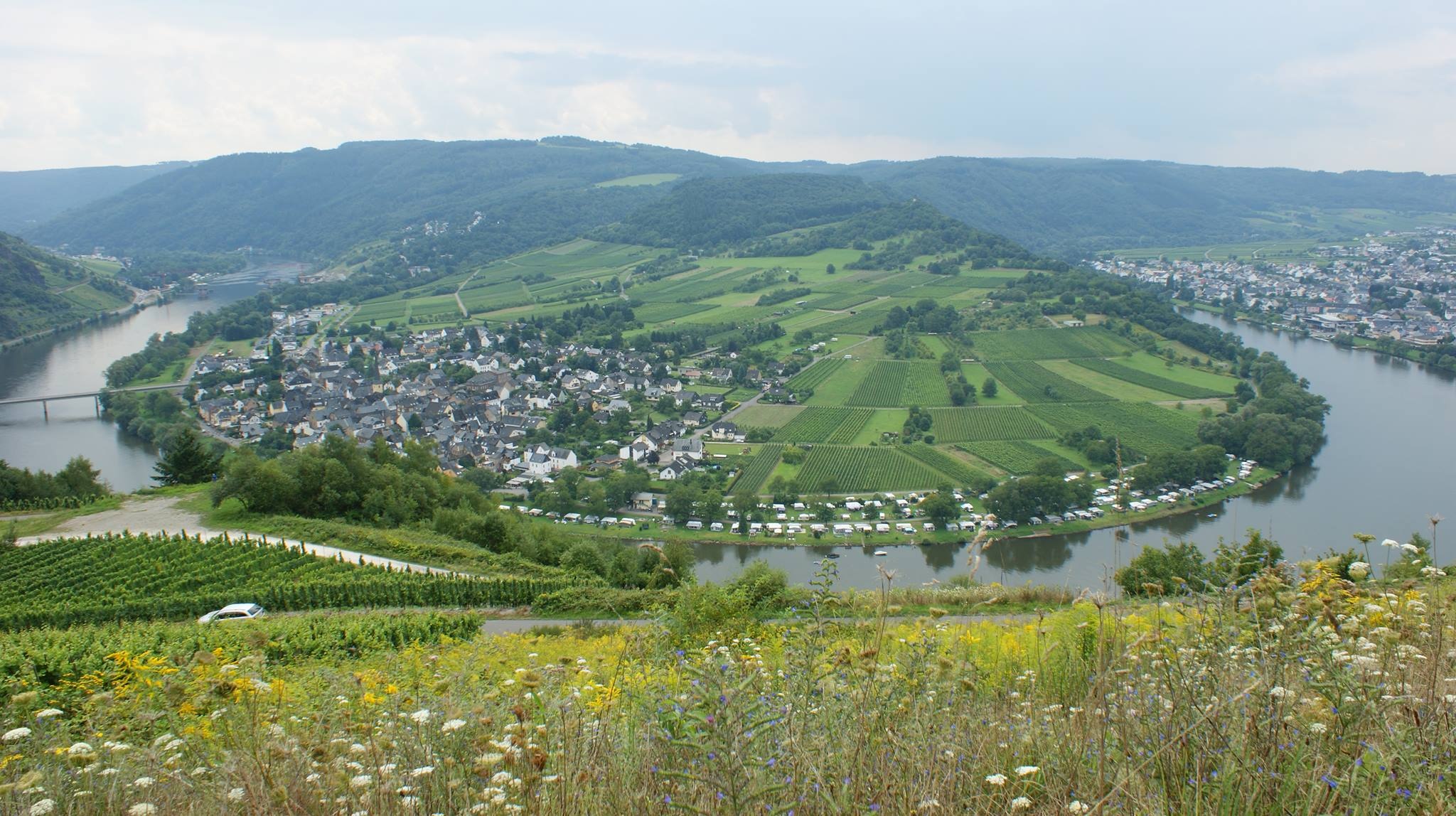 Germany nature summer free image download