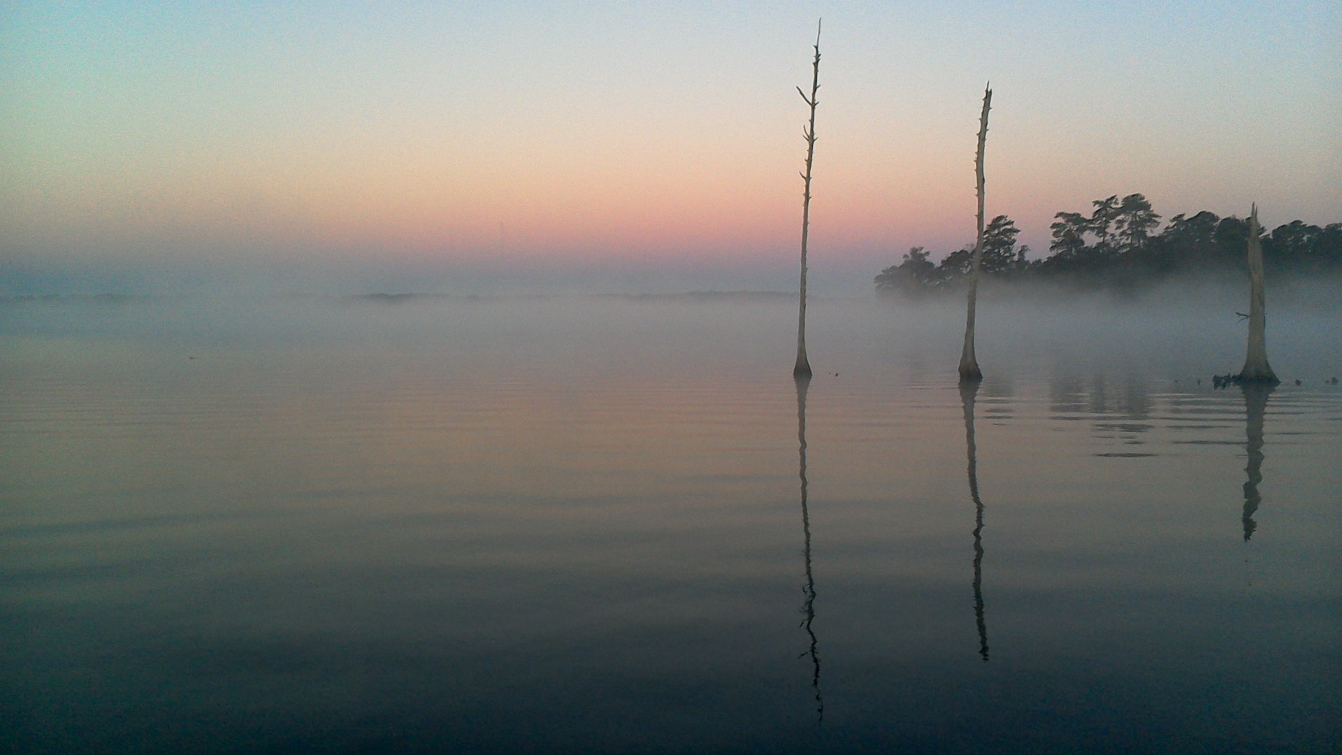 Landscape of foggy mysterious lake in the morning free image download
