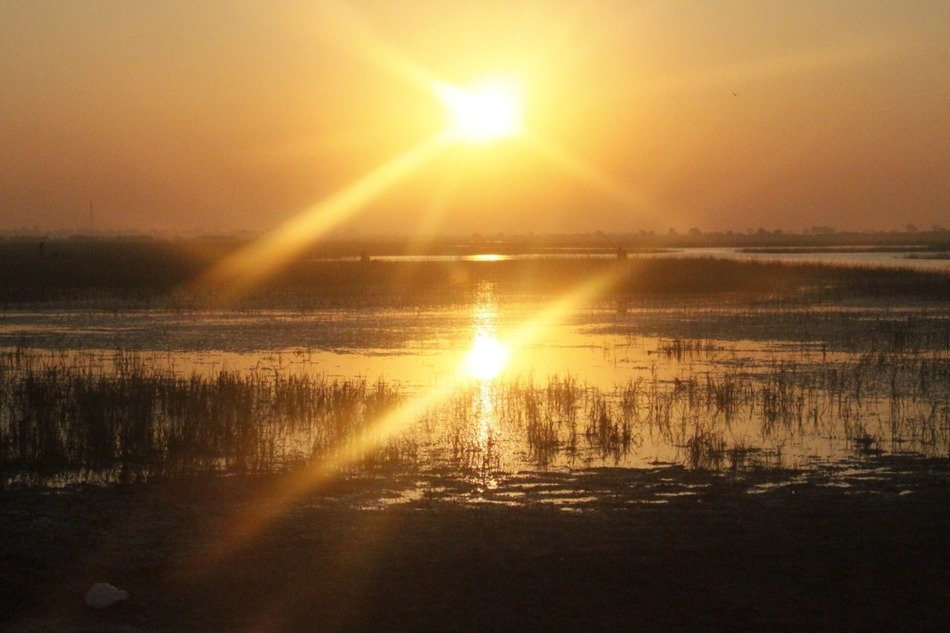 Sun in morning free image download