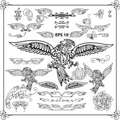 Bird curled N2 free image download