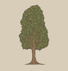 Green tree vector free image download