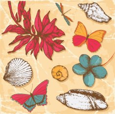 Tropic set N2 free image download