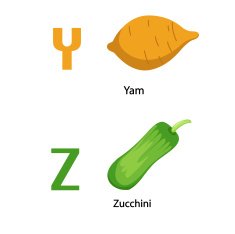 Alphabet Y-Z letter yam zucchini vector N2 free image download