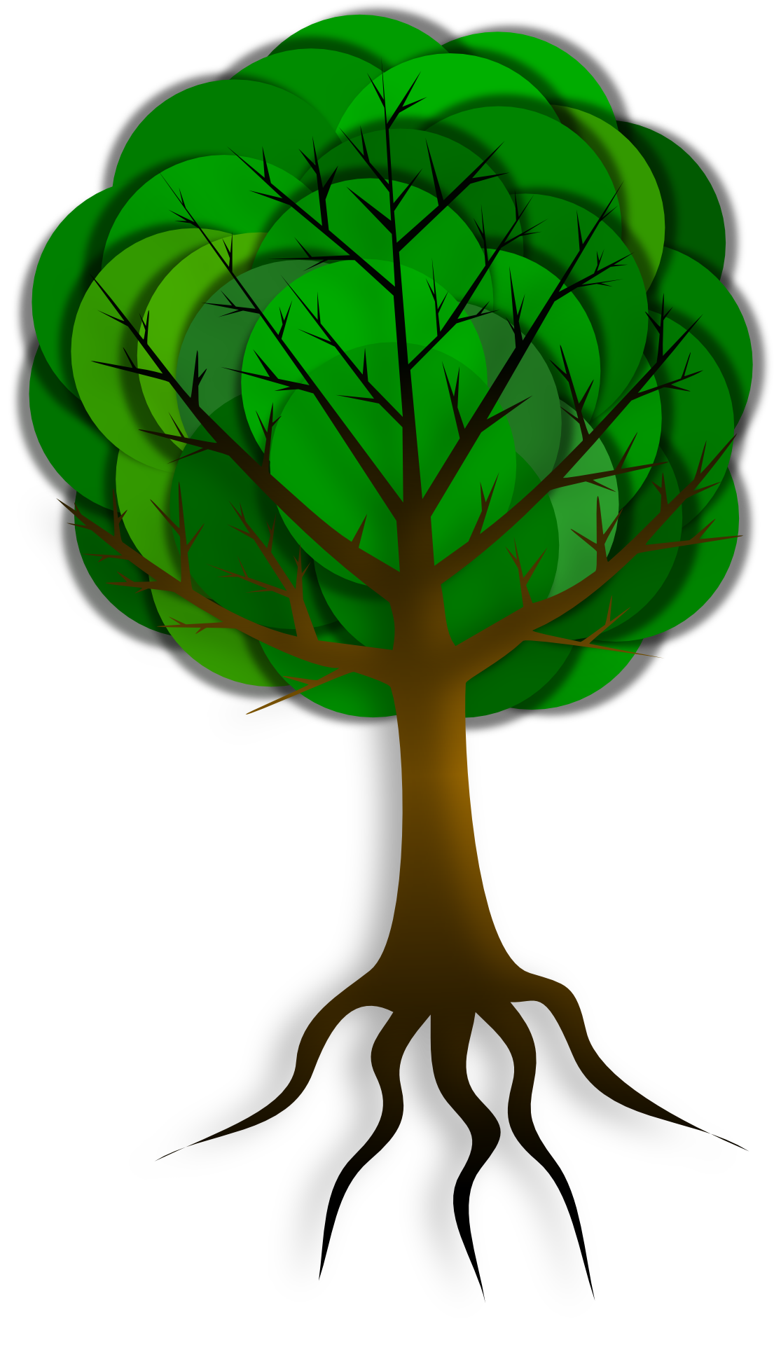 Tree branches roots as a drawing free image download