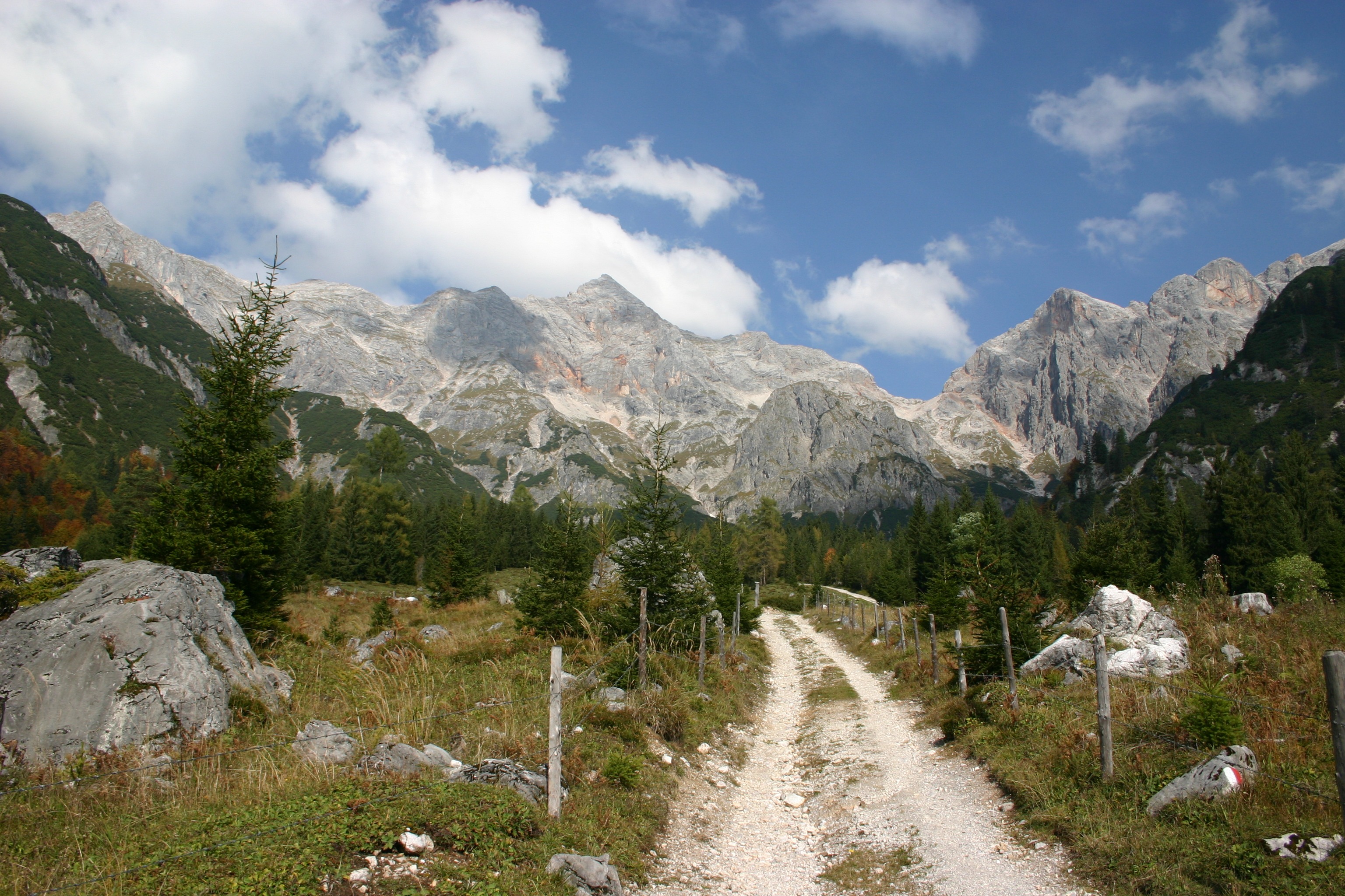 Road to the alpine mountains free image download