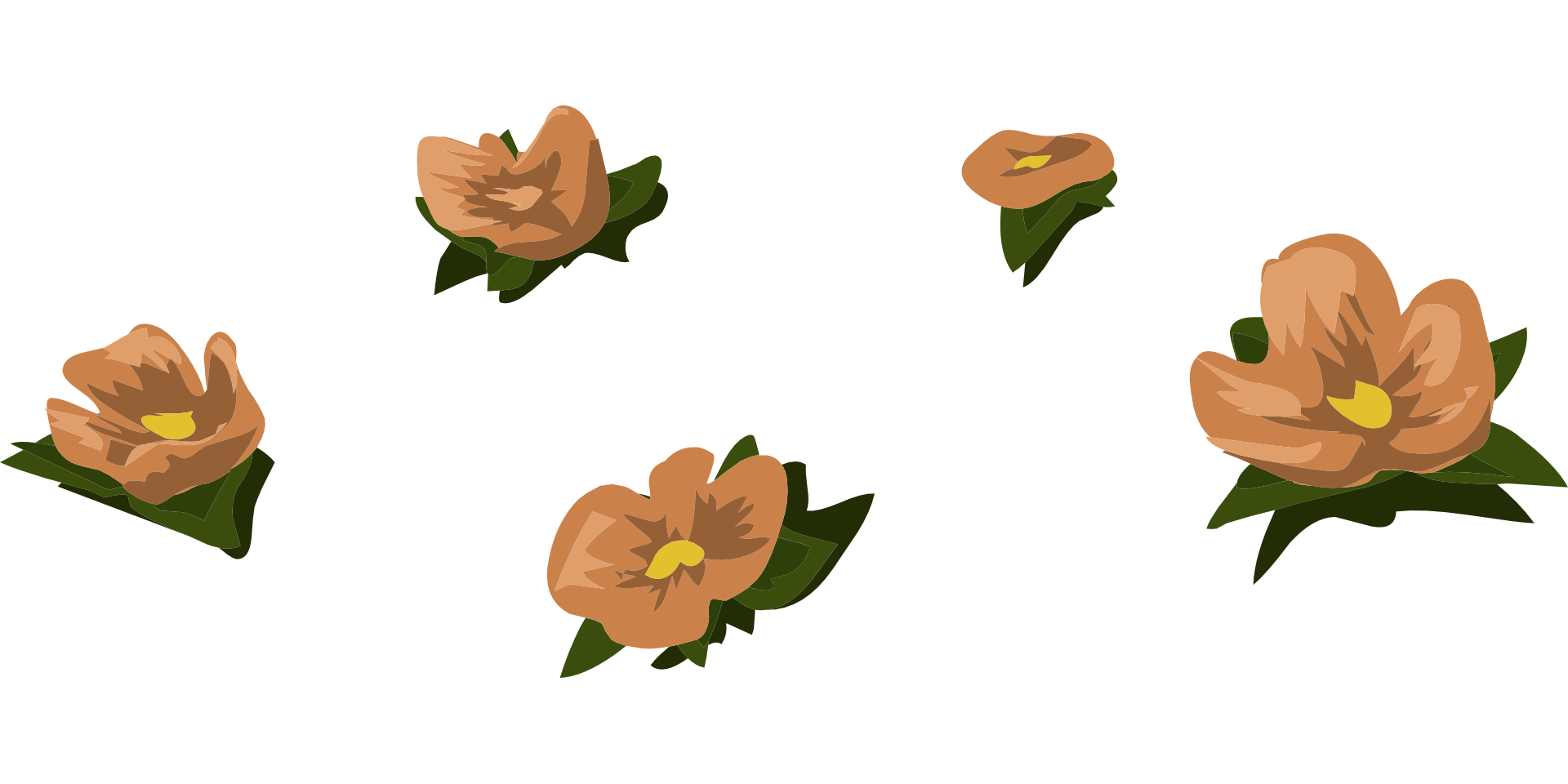 Five flowers drawing free image download